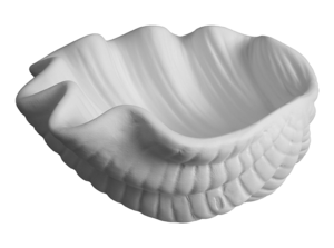 white ceramic shell